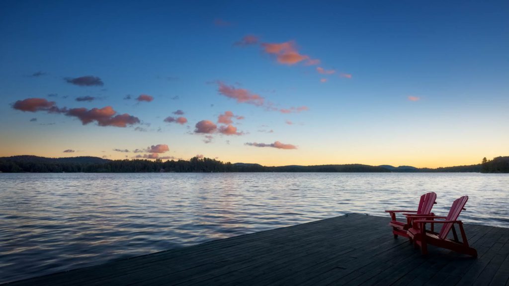 Gallery – Great Pines