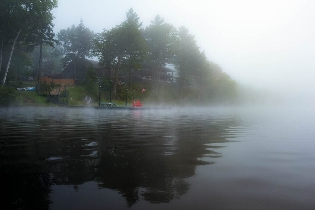 Gallery – Great Pines