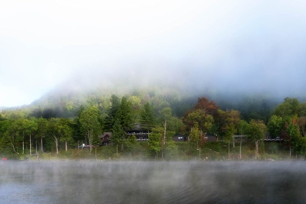 Gallery – Great Pines