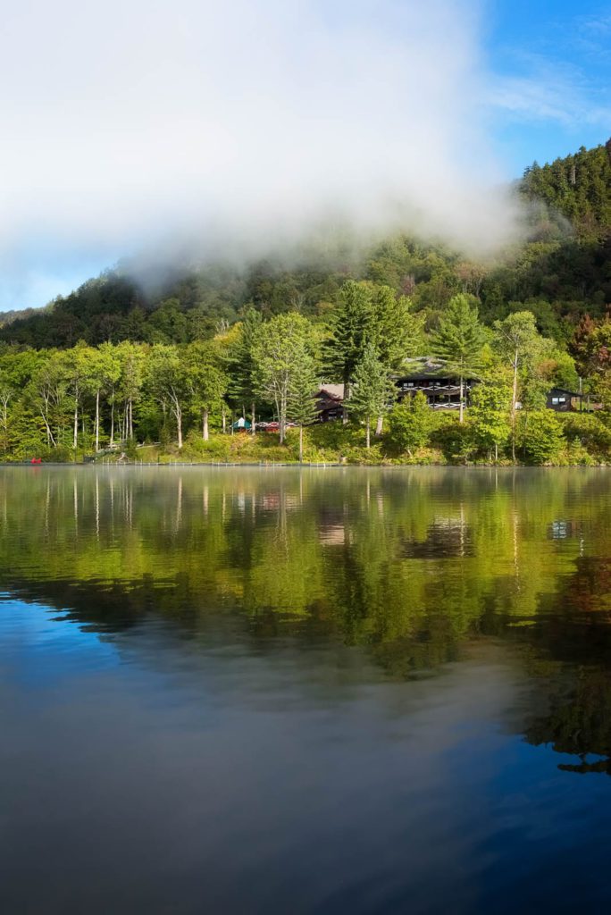 Gallery – Great Pines