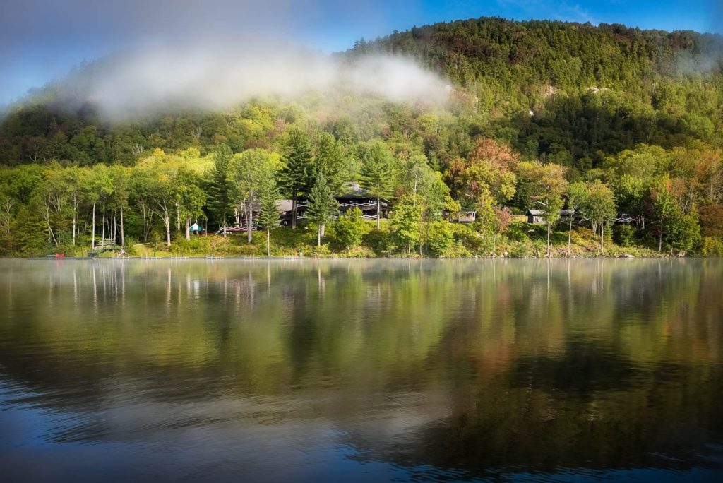 Gallery – Great Pines