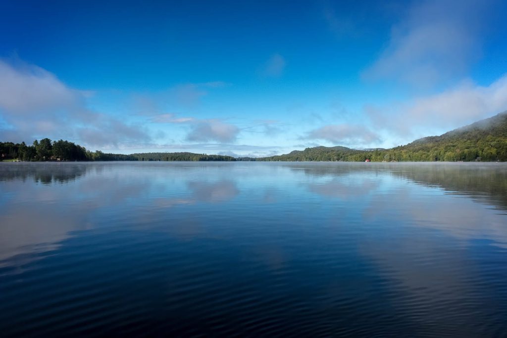 Gallery – Great Pines